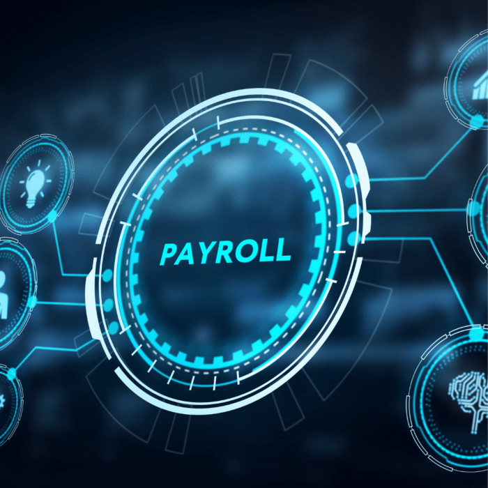 An Overview of Payroll Software